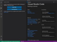 Setting up VS code for remote development is easy