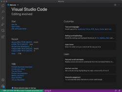 Setting up VS code for remote development is easy